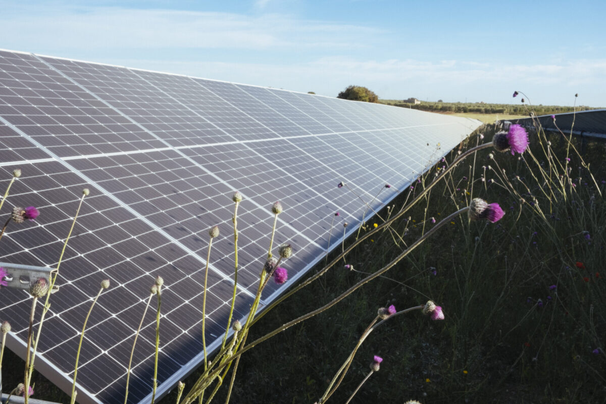 Bullyard Solar Farm - EE Australia Pty Ltd